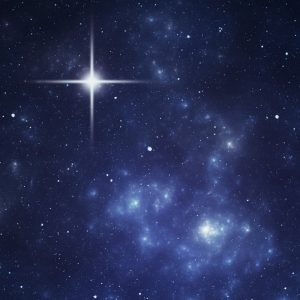 What Is Your North Star? - The Robin Report